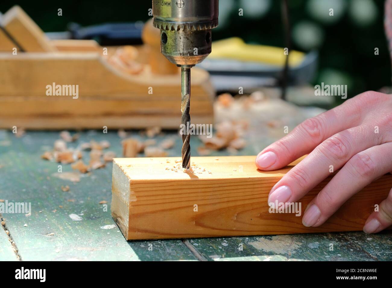 Craftswoman carpenter drilling a wooden plank with drill machine ...
