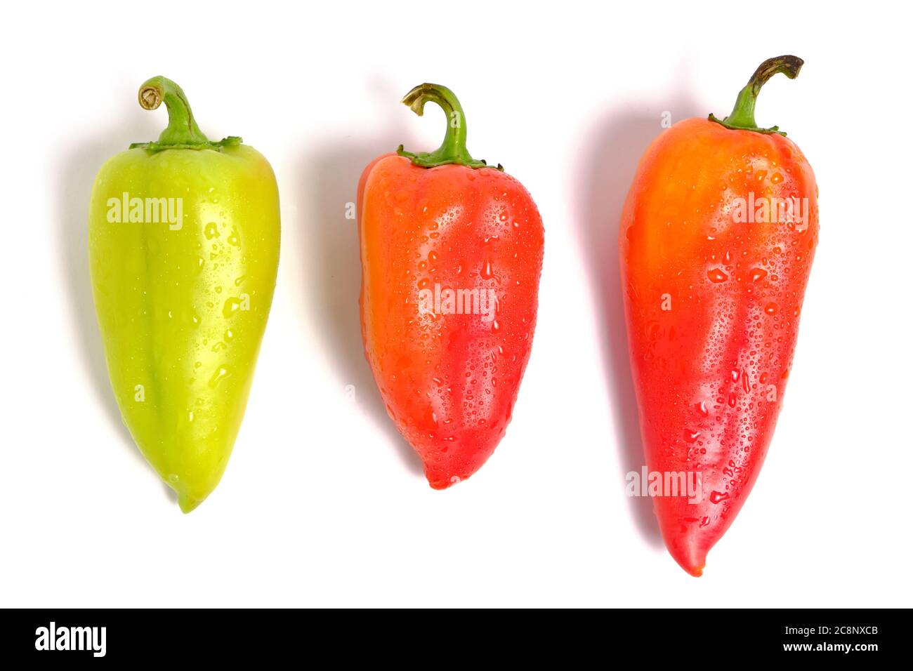 Sweet bell pepper on a white background with shadows in the isolate ...