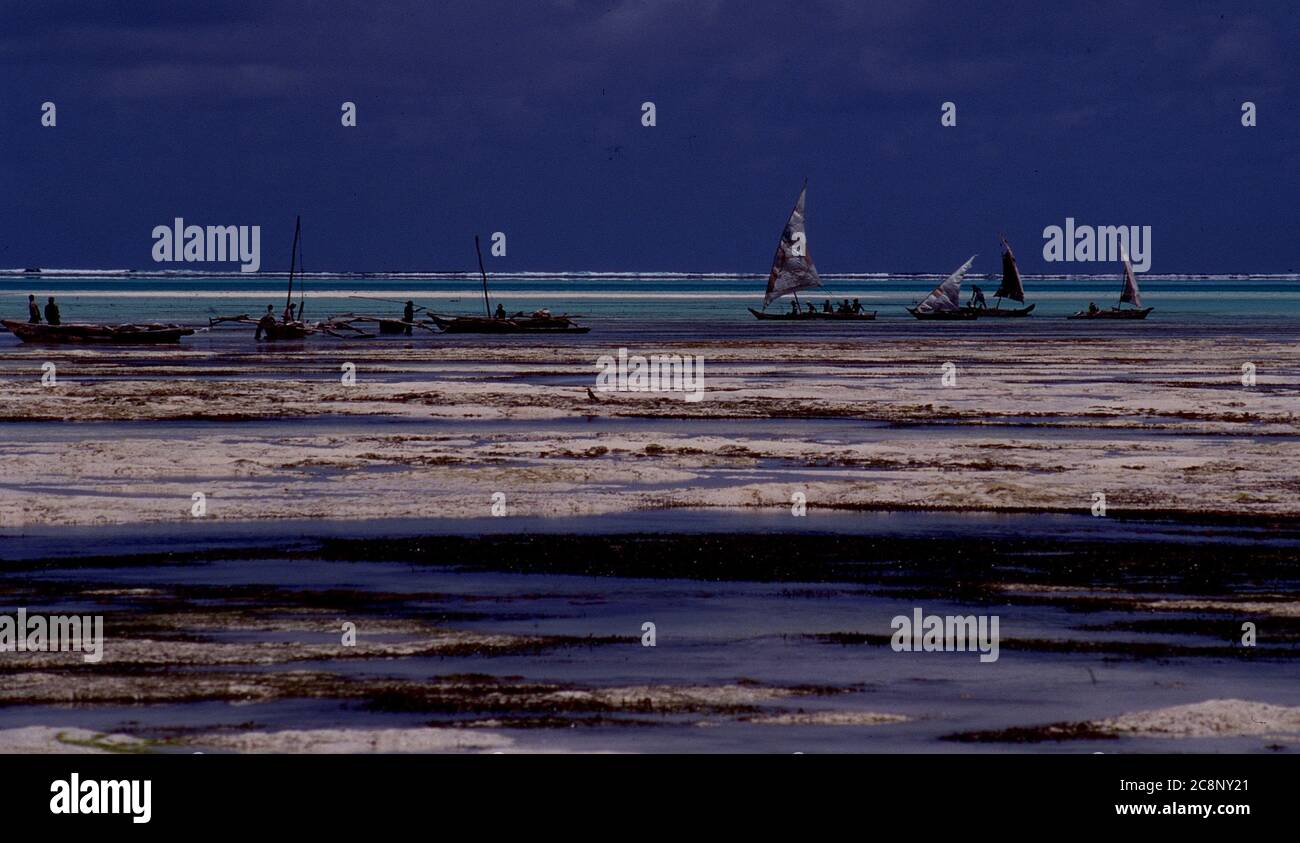 Indian ocean zanzibar tanzania hi-res stock photography and images - Alamy