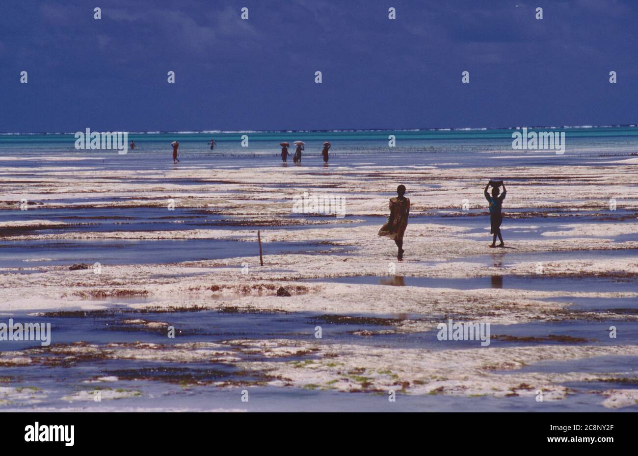 Indian ocean zanzibar tanzania hi-res stock photography and images - Alamy