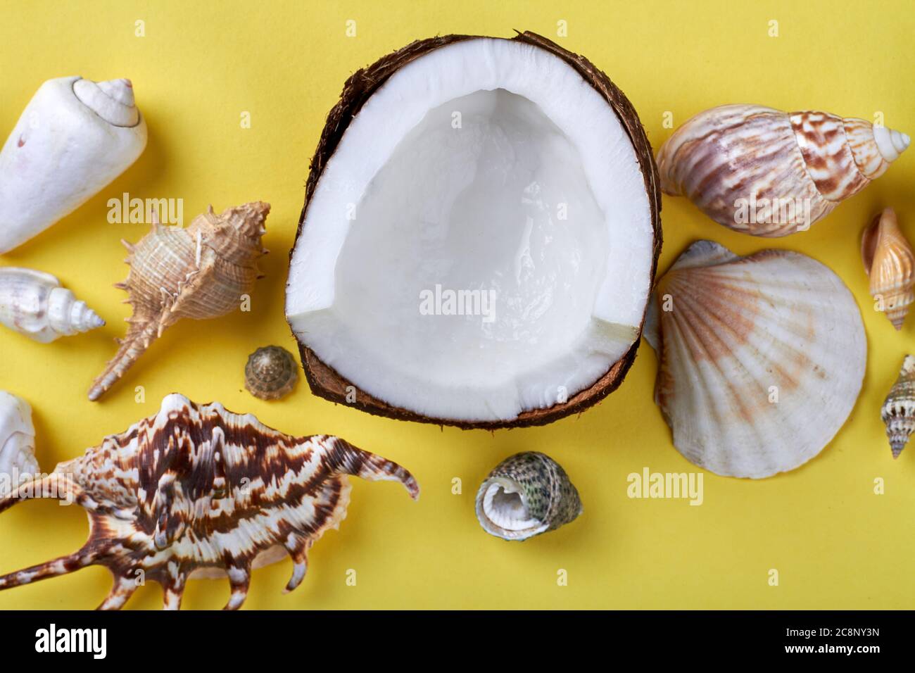 Seashell gathering hi-res stock photography and images - Alamy