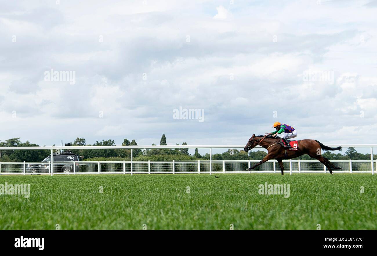 Lady bowthorpe ridden hi-res stock photography and images - Alamy