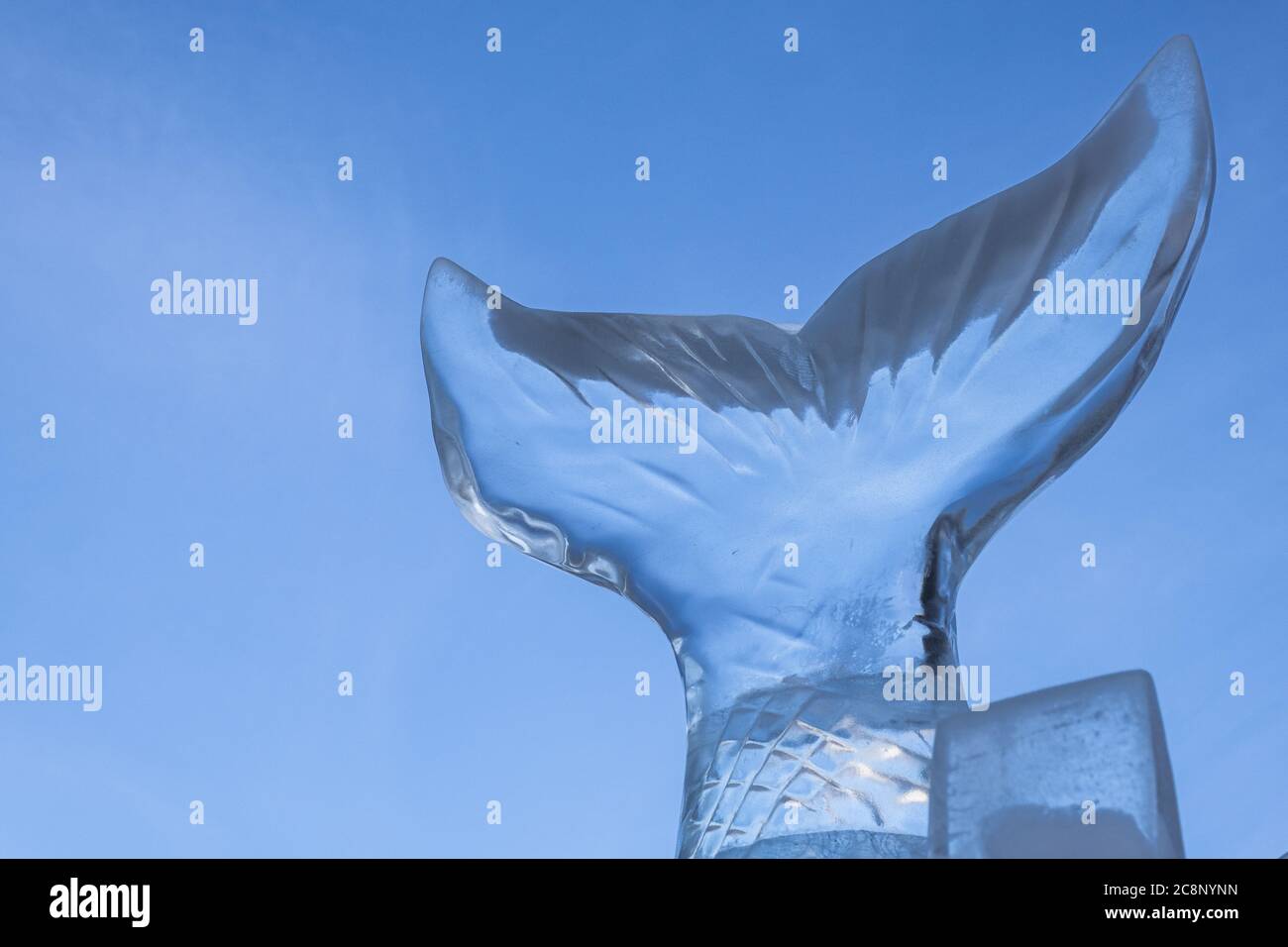 An ice sculpture of a tail of fish against a blue sky background. Copy ...