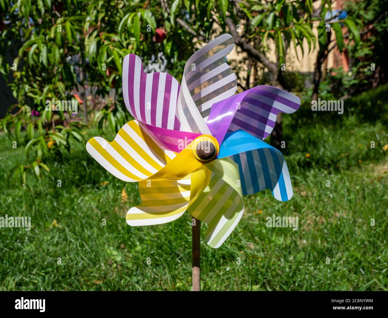 color pinwheel in the green grass Stock Photo - Alamy