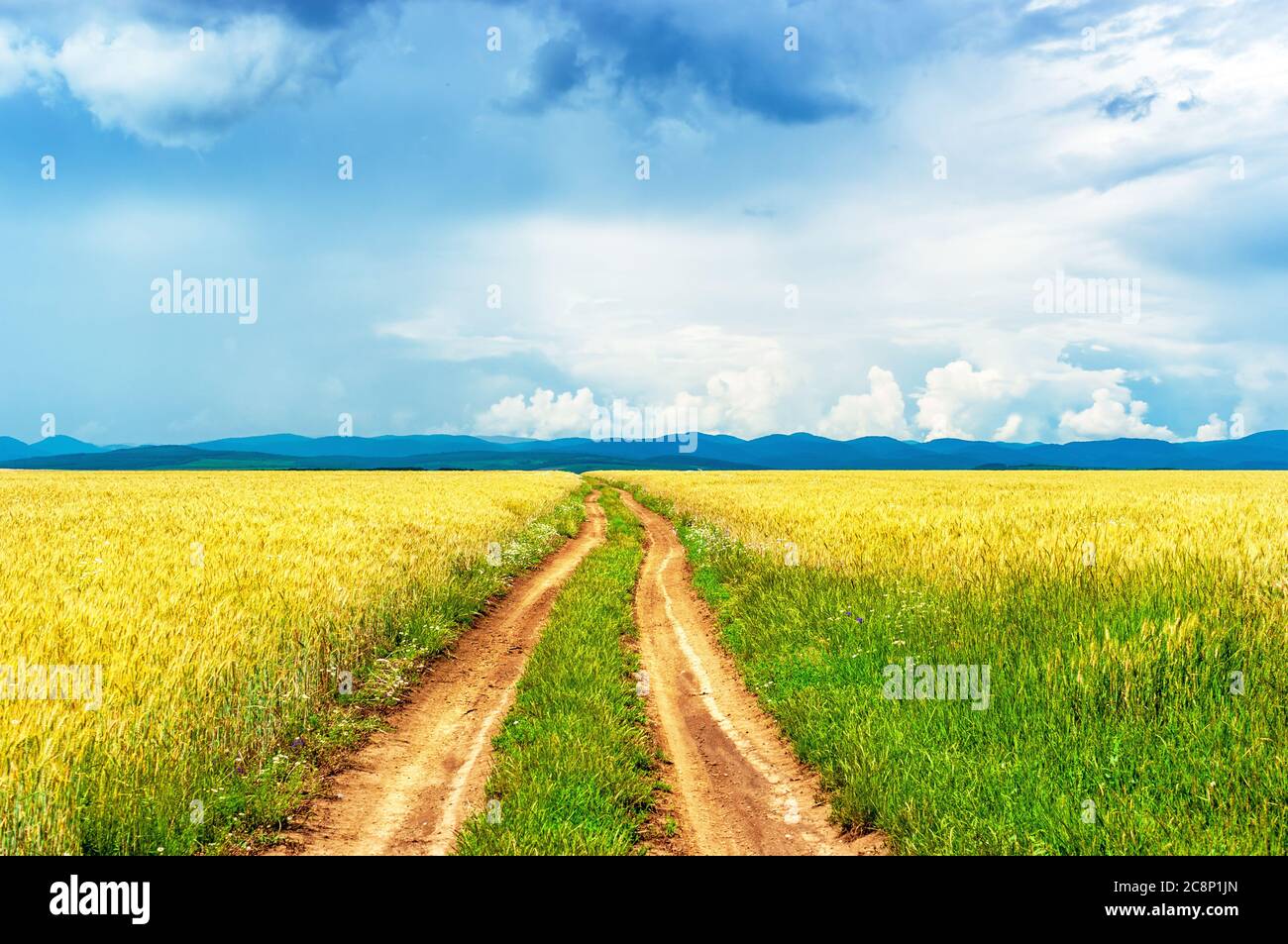 Landscape dirt road hi-res stock photography and images - Alamy
