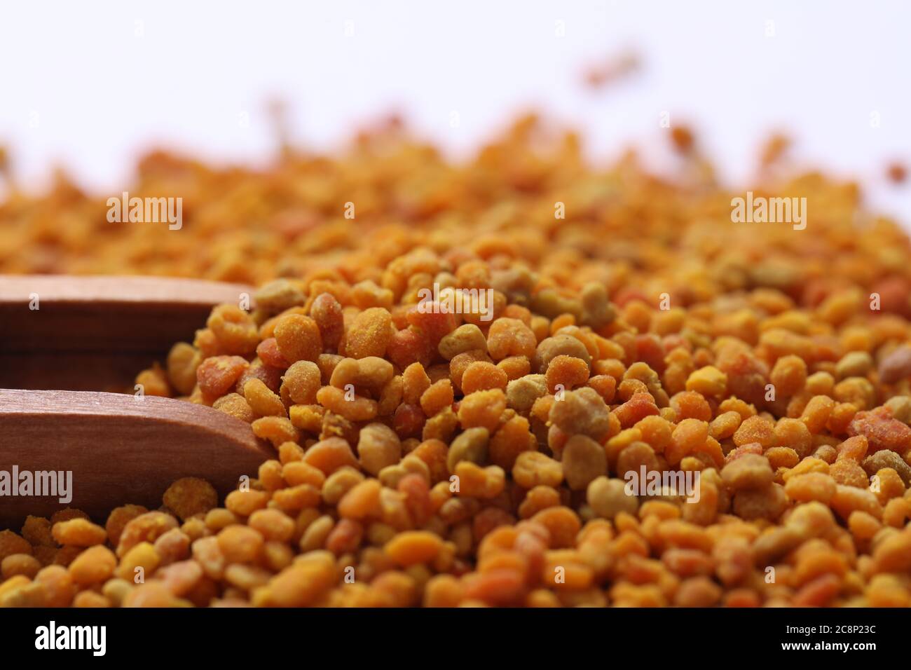 Propolis bees bee pollen on white background Stock Photo - Alamy