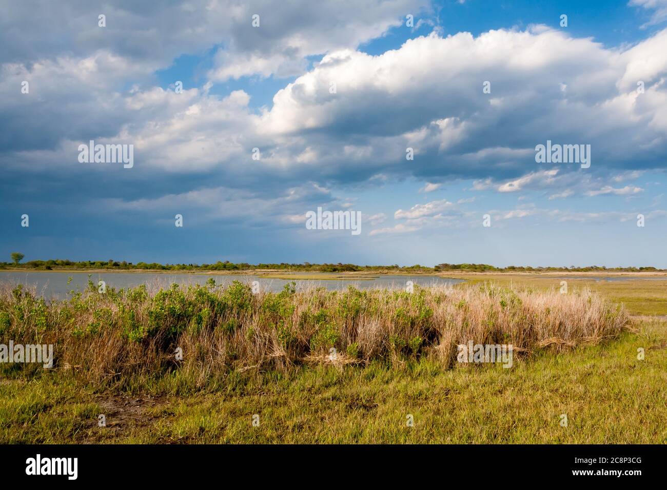Salt marsh wetlands under blue sky with fluffy clouds and rain in the ...