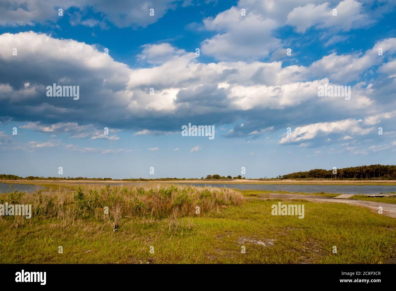 Salt marsh wetlands under blue sky with fluffy clouds at Assateague ...