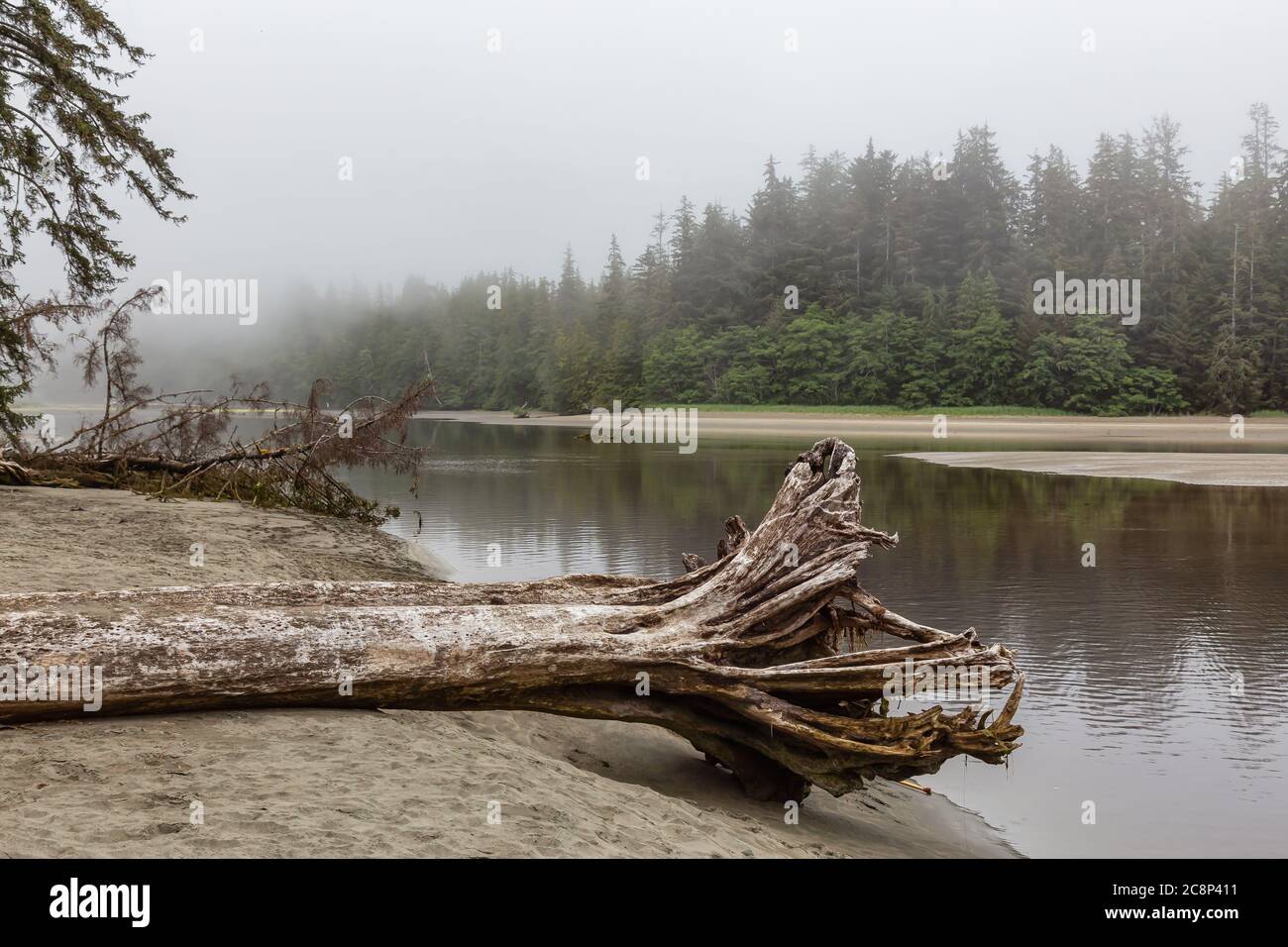 Raft Cove, Vancouver Island, British Columbia, Canada Stock Photo - Alamy