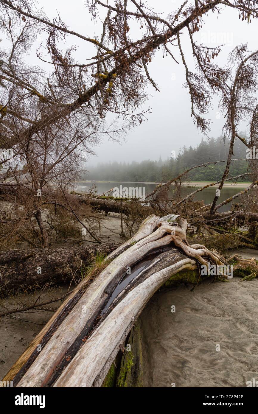 Log raft columbia river hi-res stock photography and images - Alamy