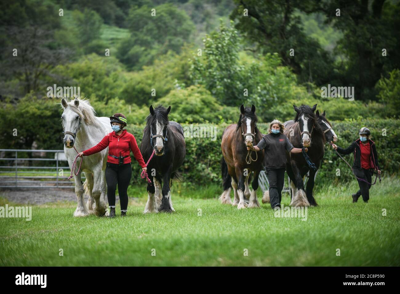 Meet within hi-res stock photography and images - Alamy