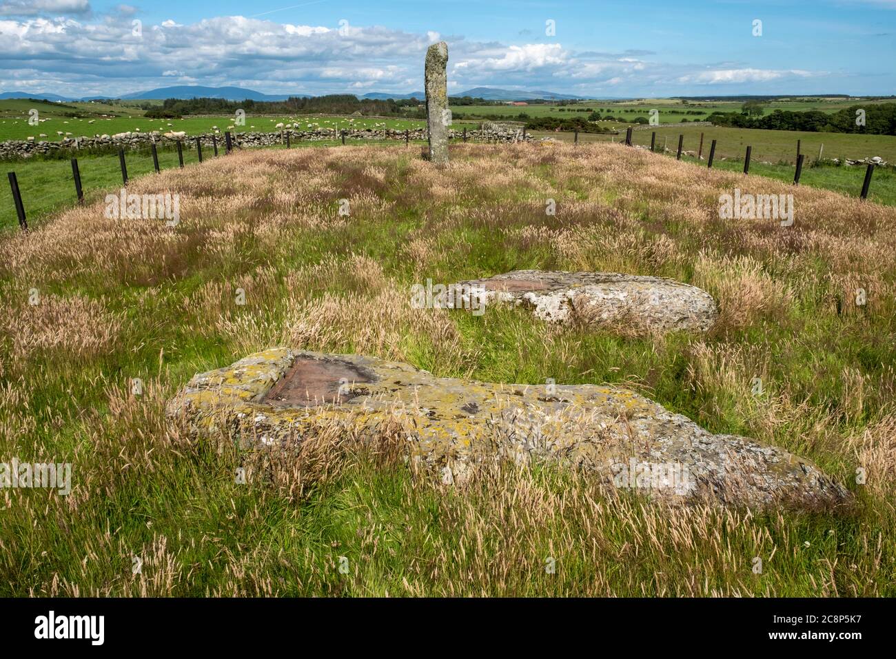 Drumtroddan Standing Stones, the Machars, Wigtownshire, Dumfries and ...