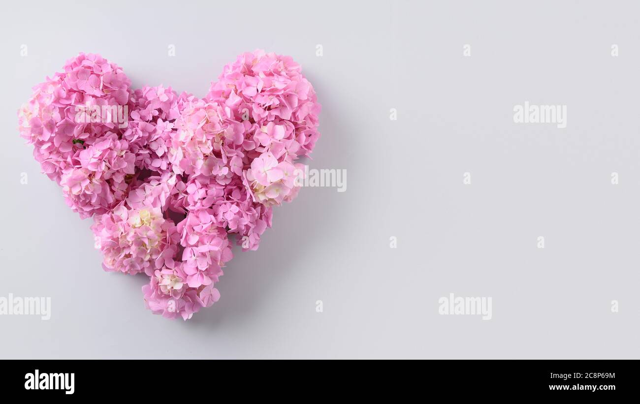 Festive Valentines day card of pink hydrangea flowers in shape of heart ...