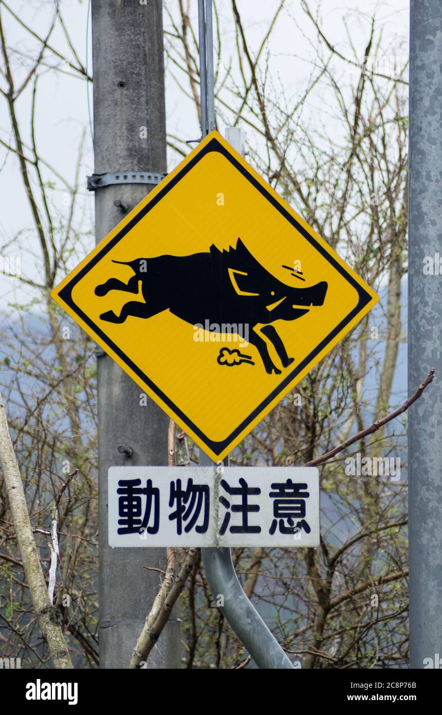 Warning danger wild boar sign hi-res stock photography and images - Alamy