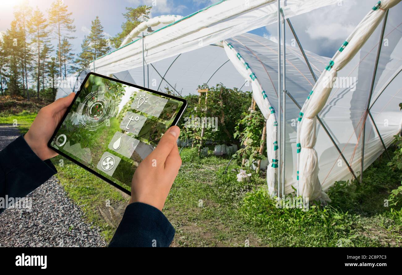 A farmer is holding a tablet on the background of a greenhouse. Smart ...