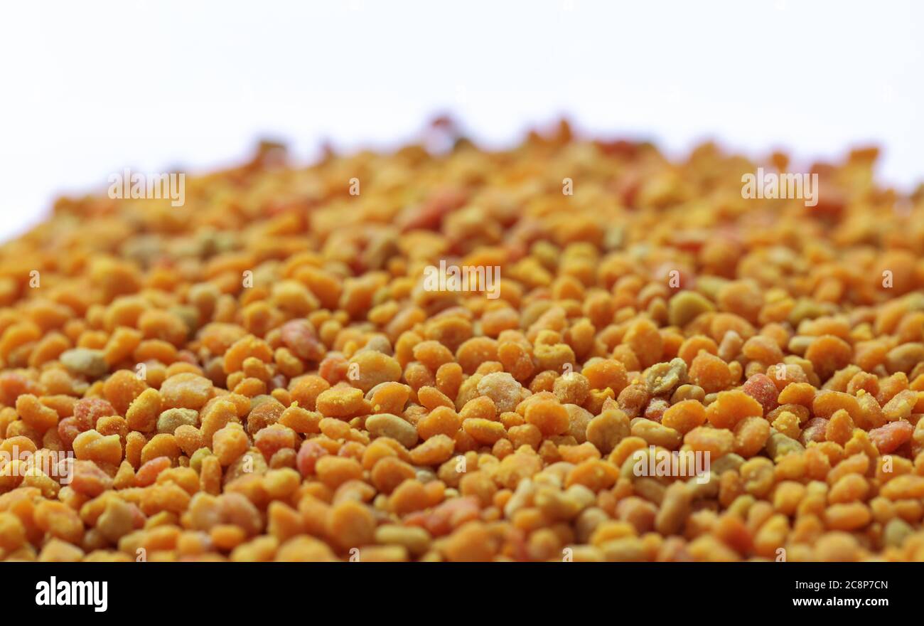Propolis bees bee pollen on white background Stock Photo - Alamy