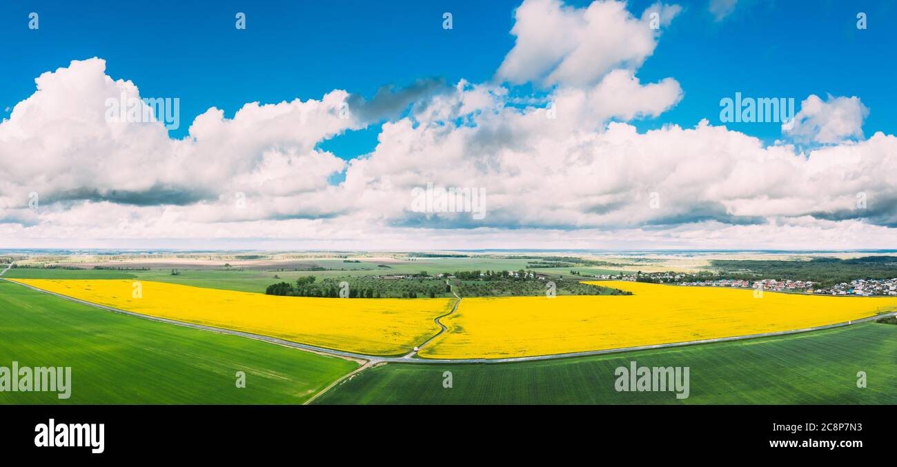 Aerial view above flower farm hi-res stock photography and images - Alamy