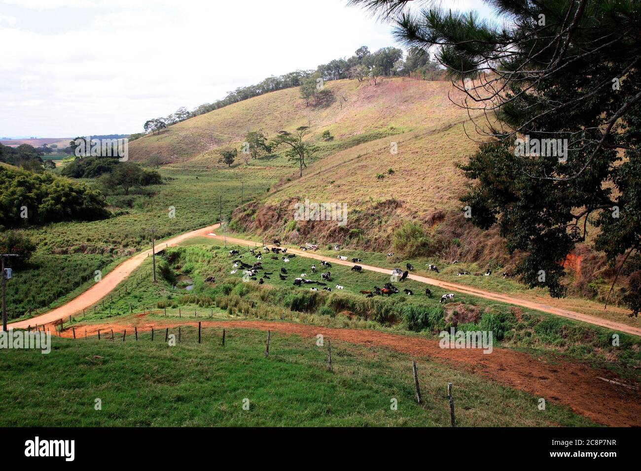 Modern farm brazil hi-res stock photography and images - Alamy