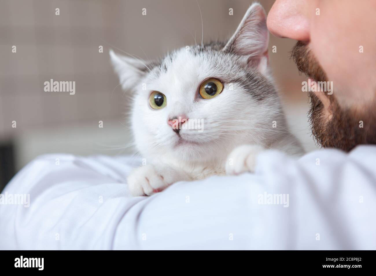 Healthy Pet High Resolution Stock Photography and Images - Alamy