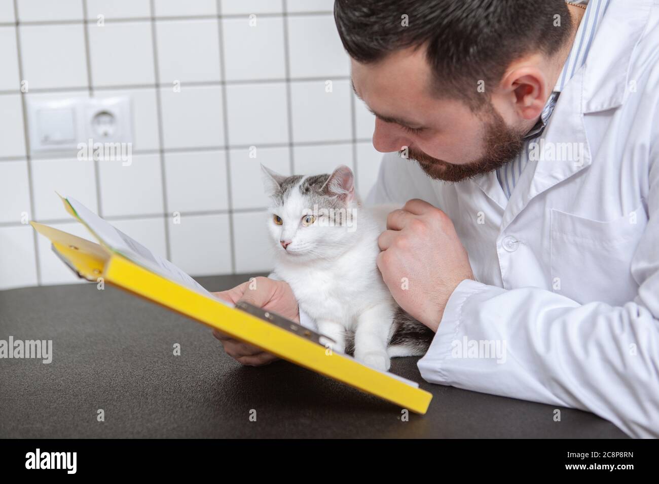 Male vet comforting scared cat, working at his veterinary clinic Stock ...
