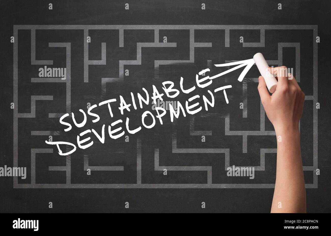 Hand drawing SUSTAINABLE DEVELOPMENT inscription with white chalk on ...