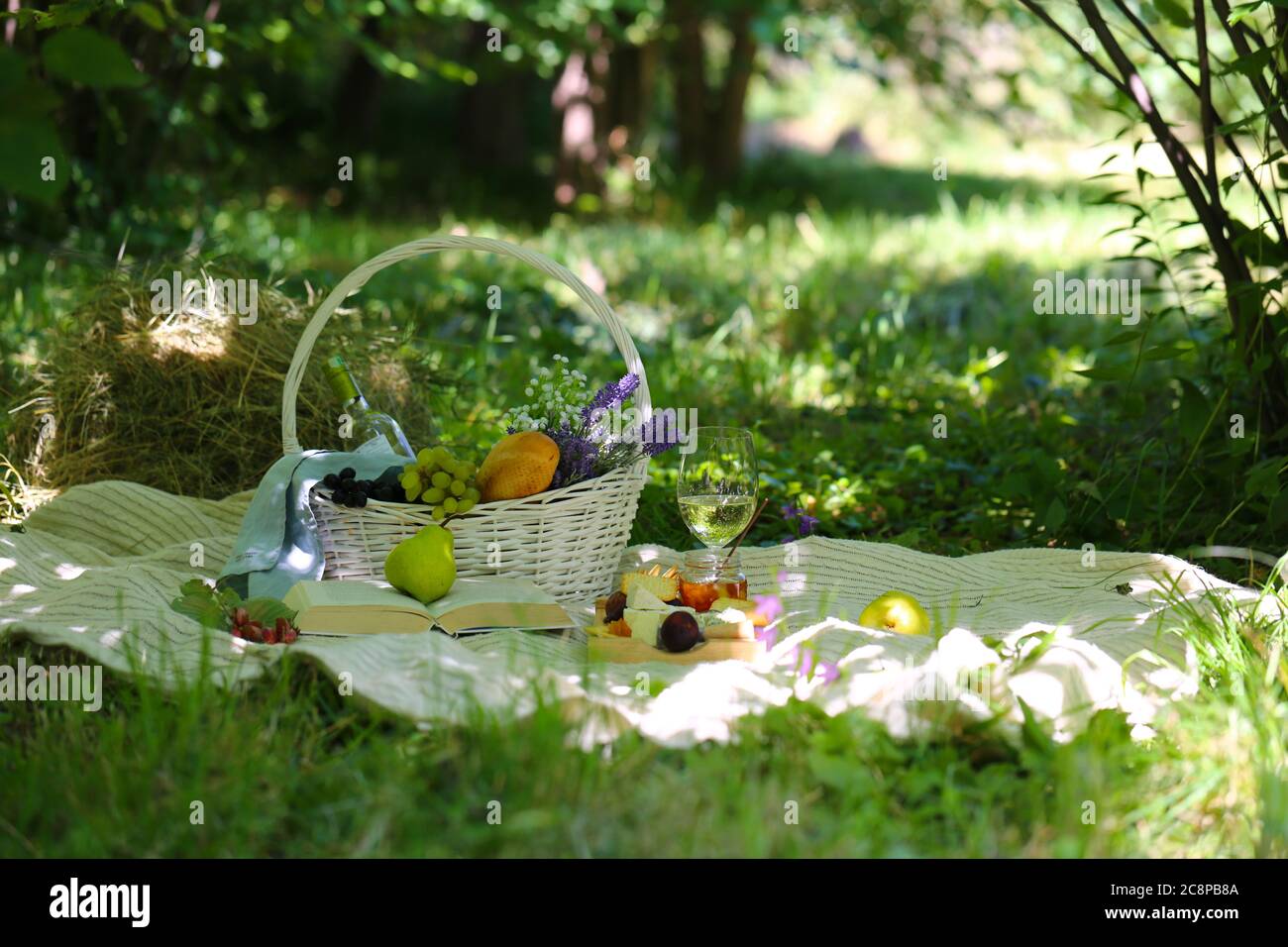 Food picnic in nature hi-res stock photography and images - Alamy