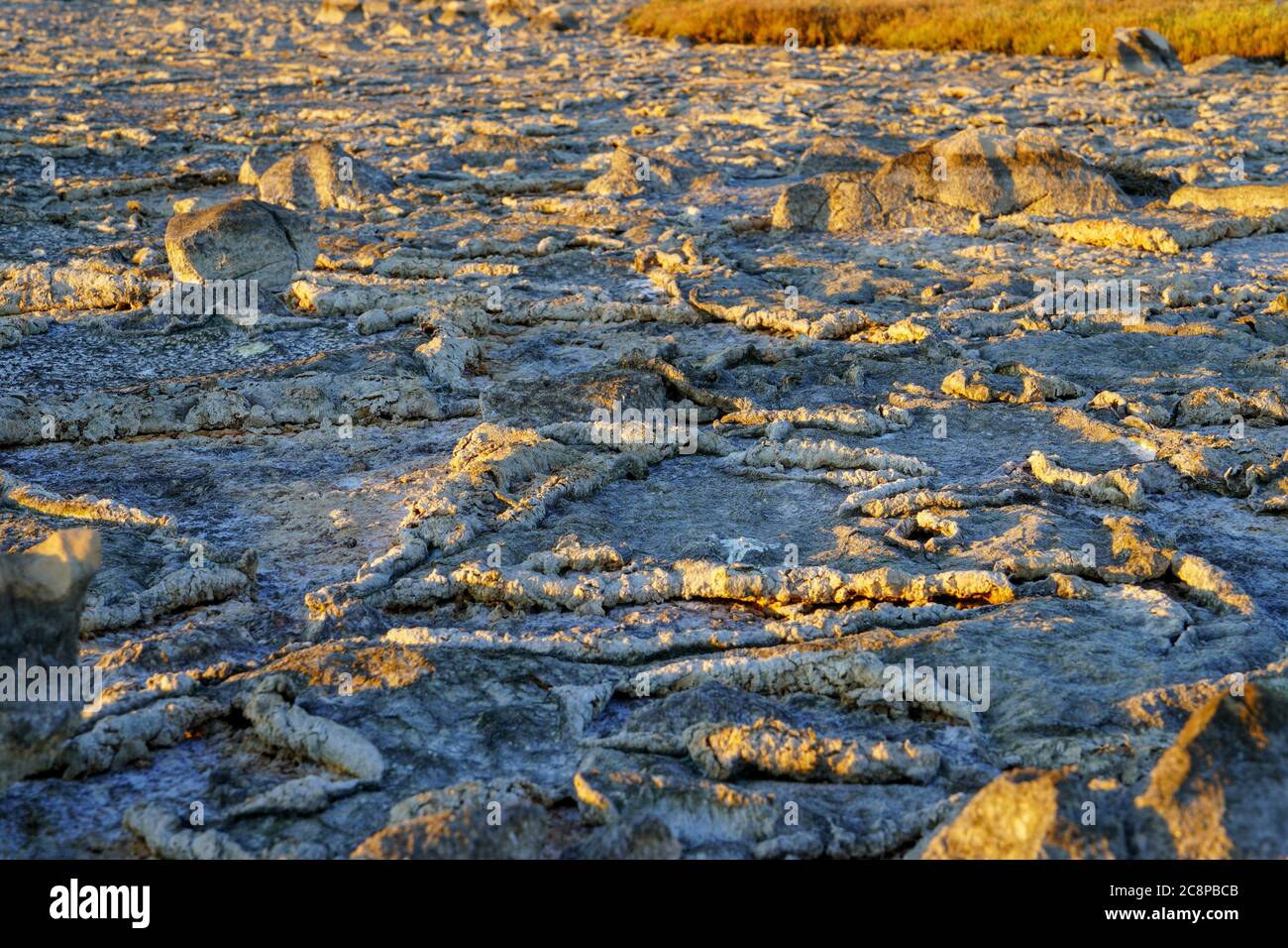 Large dry field of land after a long period of drought Stock Photo - Alamy