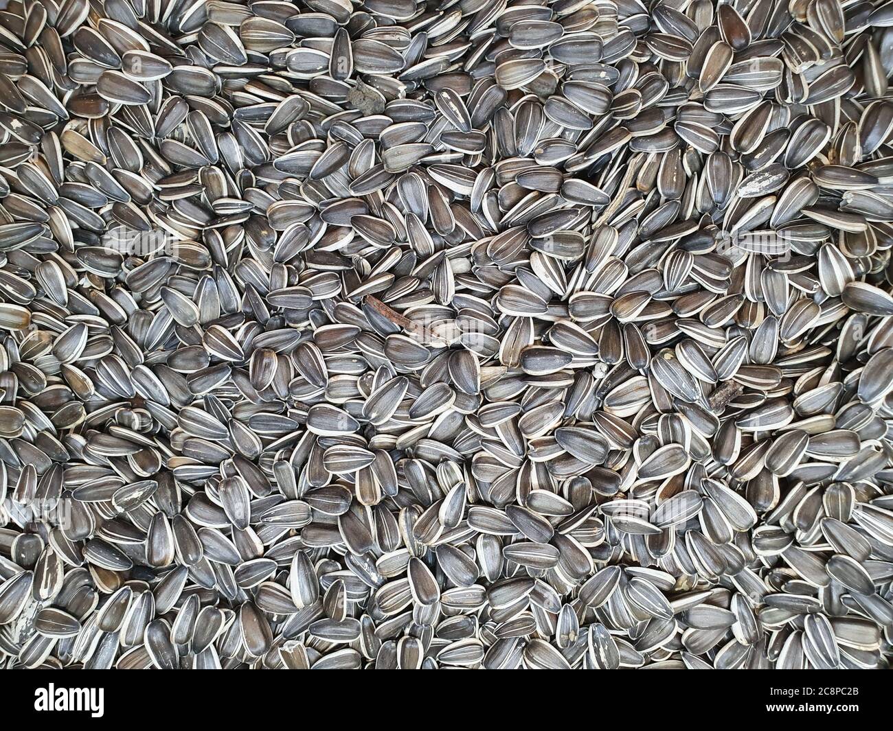 Lots of sunflower seeds. With sunflower seeds, there is a spatula in ...
