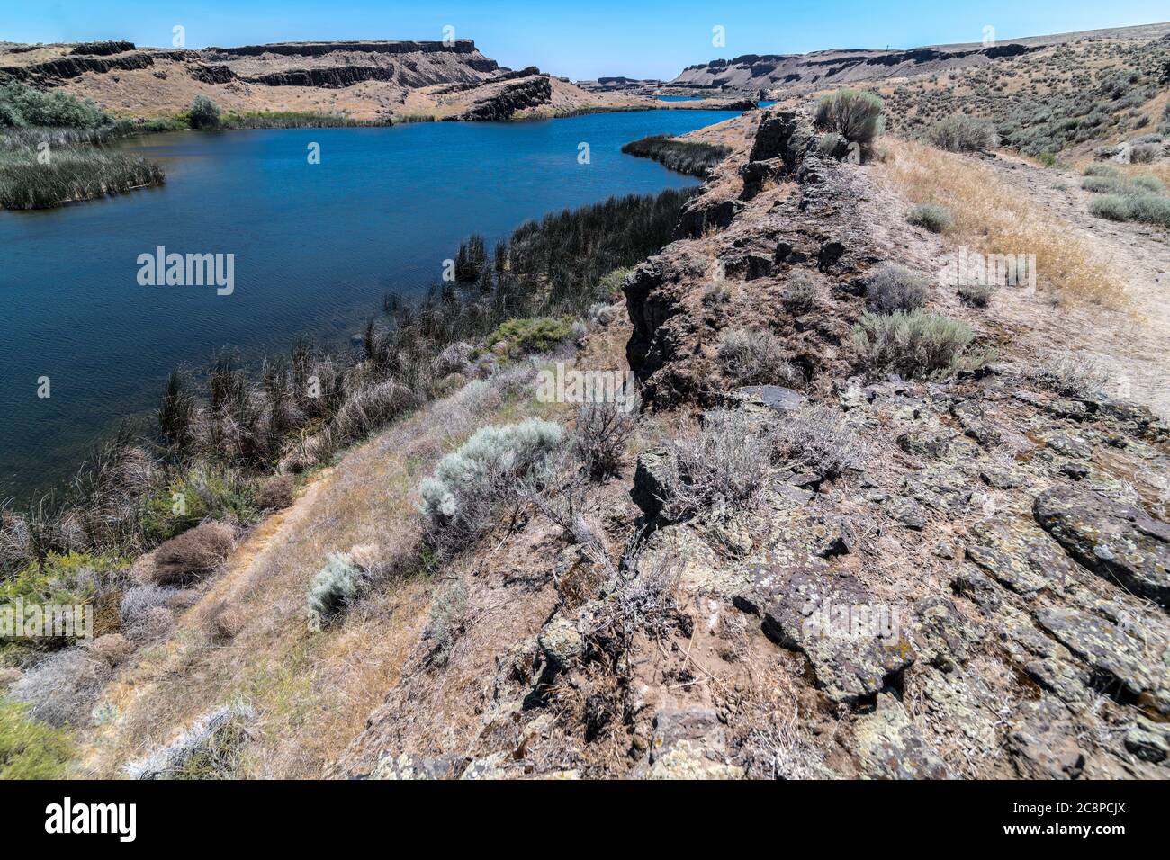 Corral bird hi-res stock photography and images - Alamy