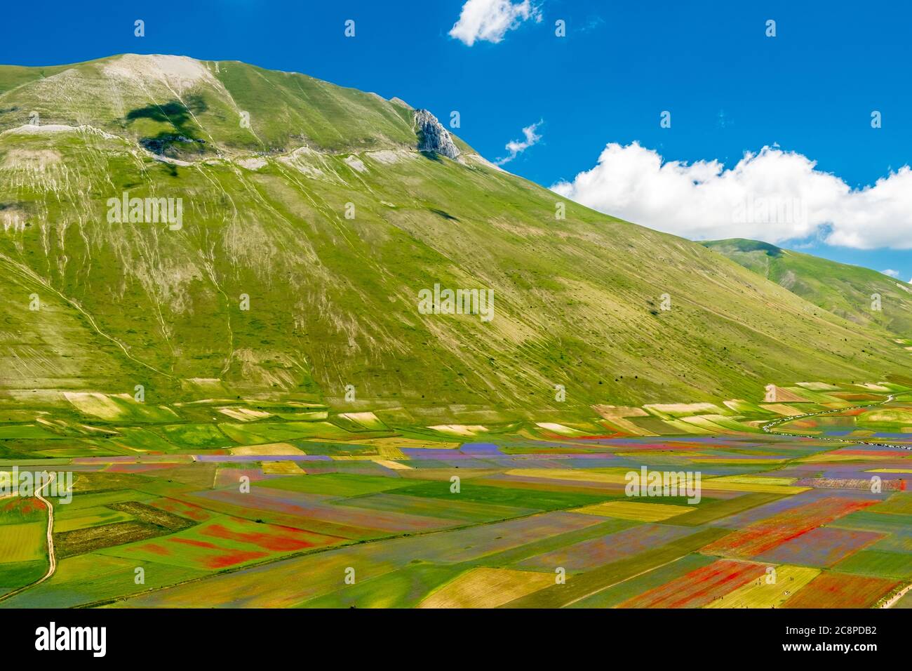 The colors of the fields of lenil full of flowers at Castelluccio di ...