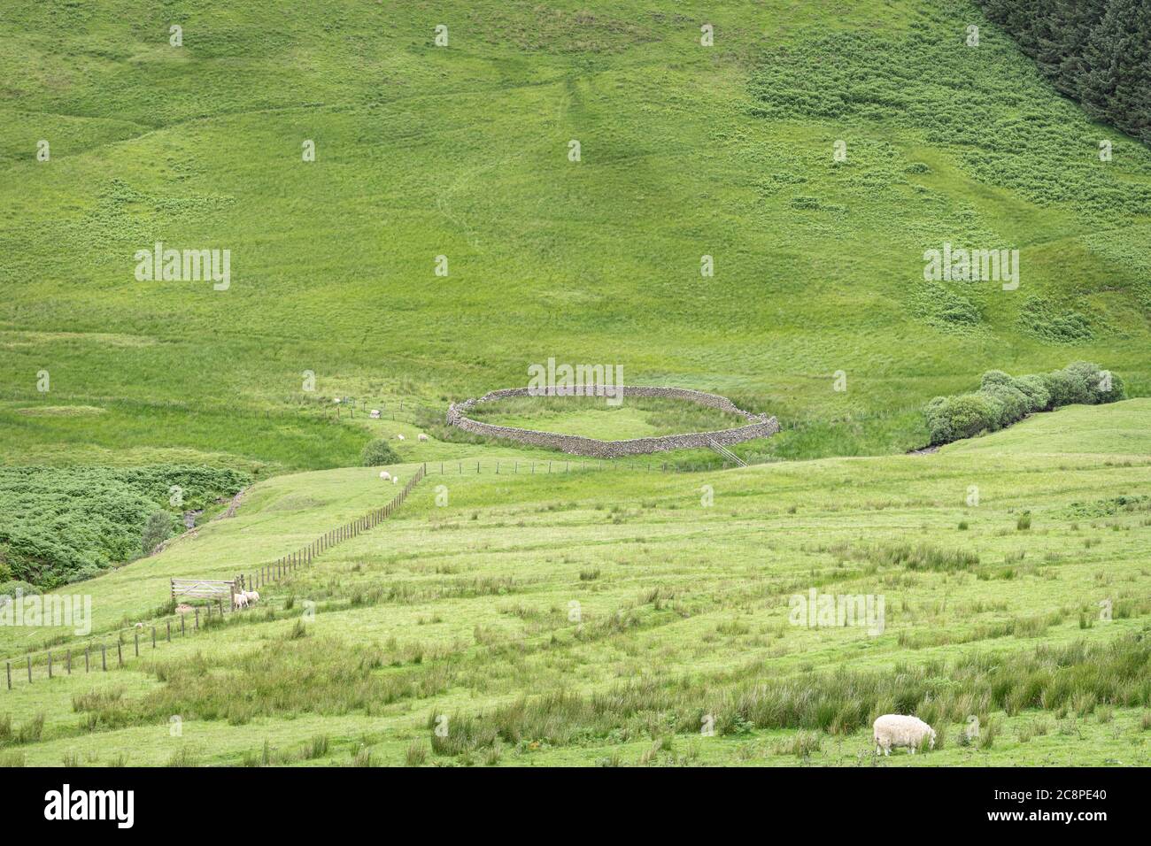 Stone sheep fold hi-res stock photography and images - Alamy