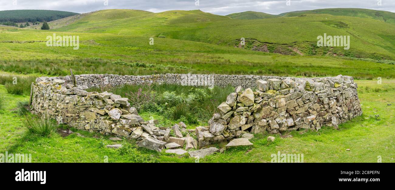 Stone sheep fold hi-res stock photography and images - Alamy