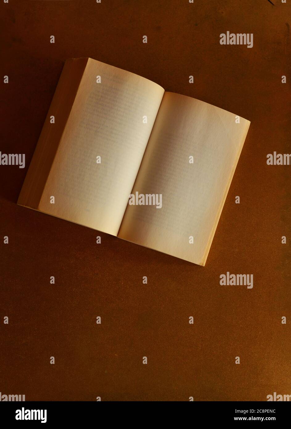 One open book with blank pages Stock Photo - Alamy