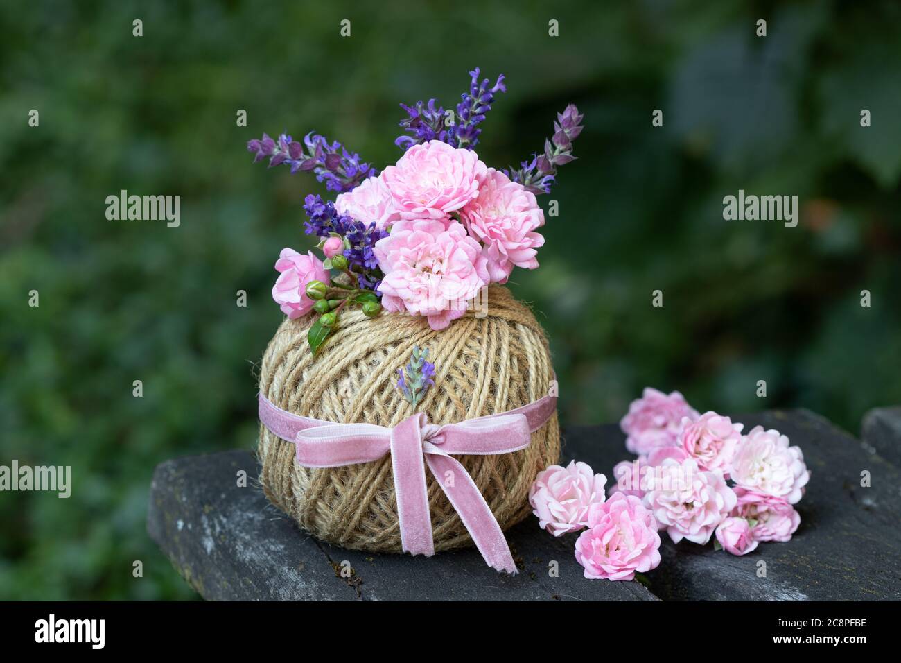 Rose garden lavender pink roses hi-res stock photography and images - Alamy