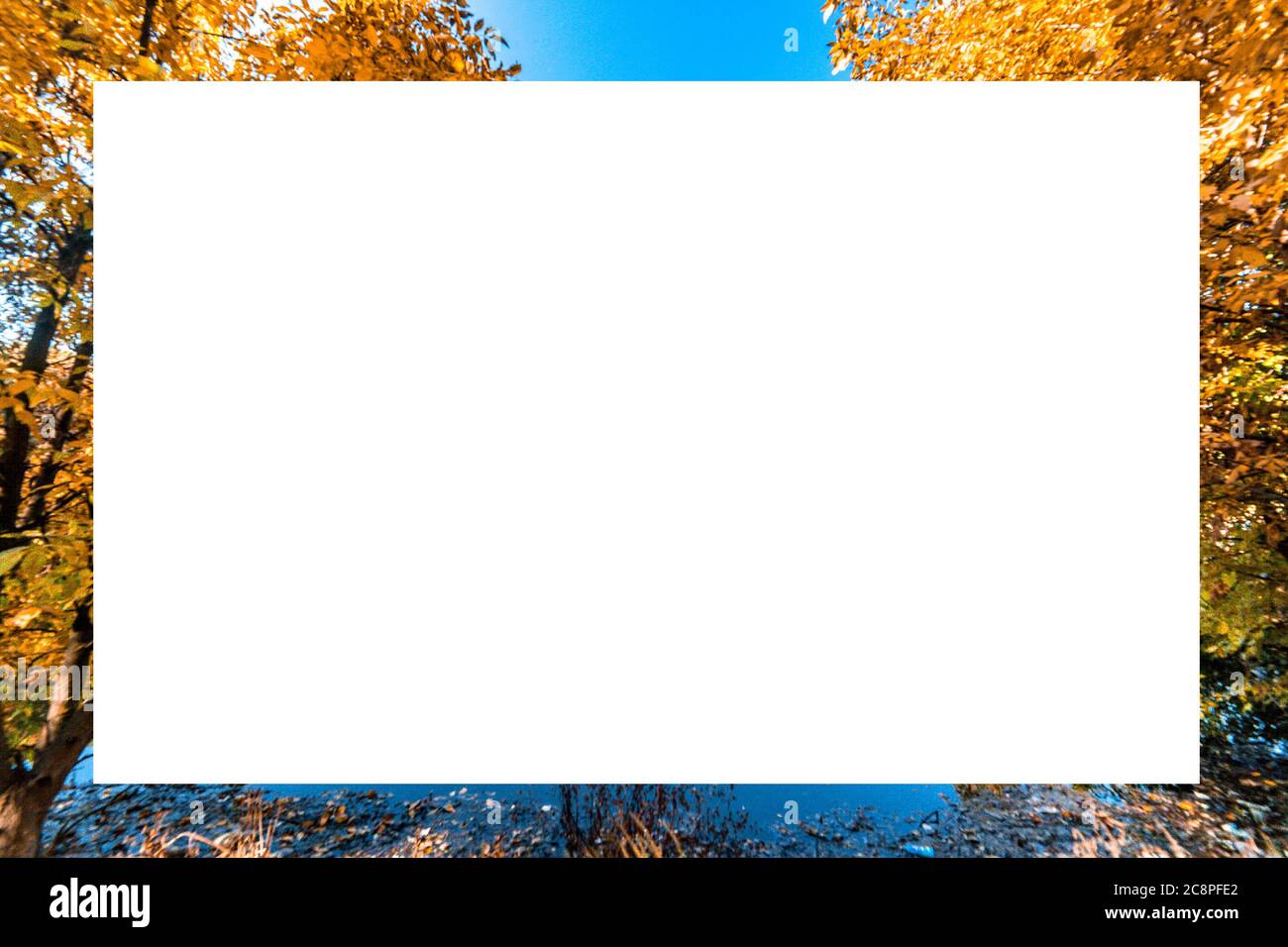 border from different autumn leaves, background autumn theme Stock ...