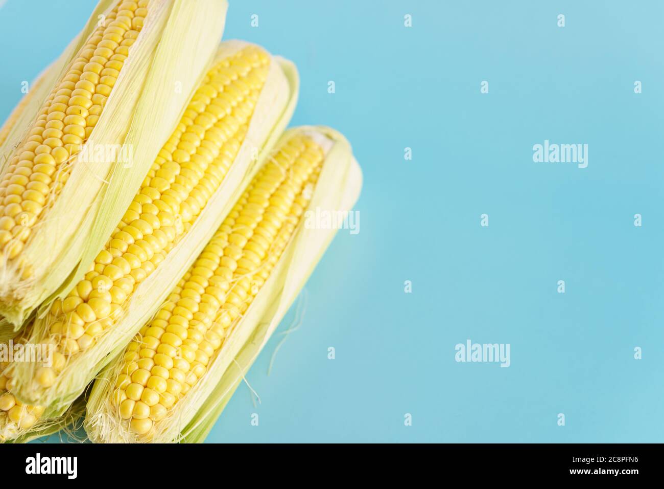 vegetables and fruits, agriculture, gastronomy, harvest concept ...