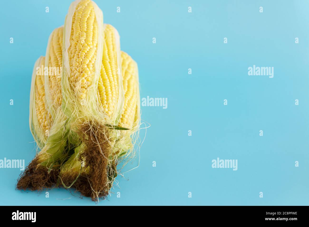 vegetables and fruits, agriculture, gastronomy, harvest concept ...