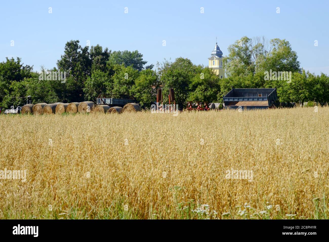 rural village church viewed over a field of wheat zala county hungary ...