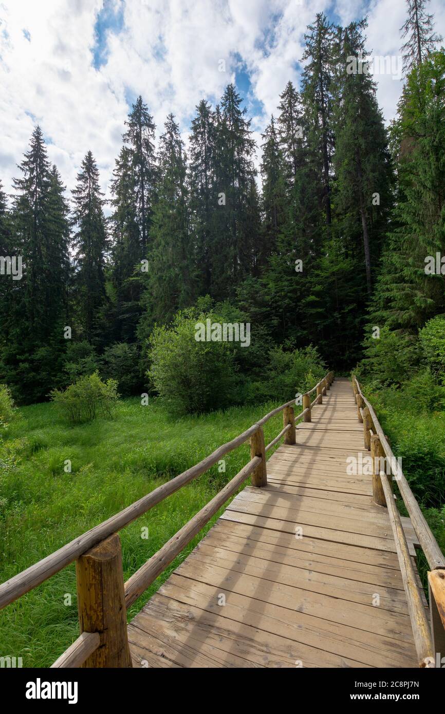 Walkway park hi-res stock photography and images - Alamy