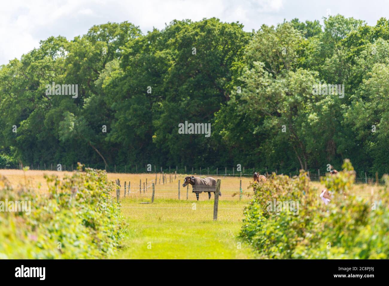 English countryside view of Sevenoaks, Kent, UK Stock Photo - Alamy