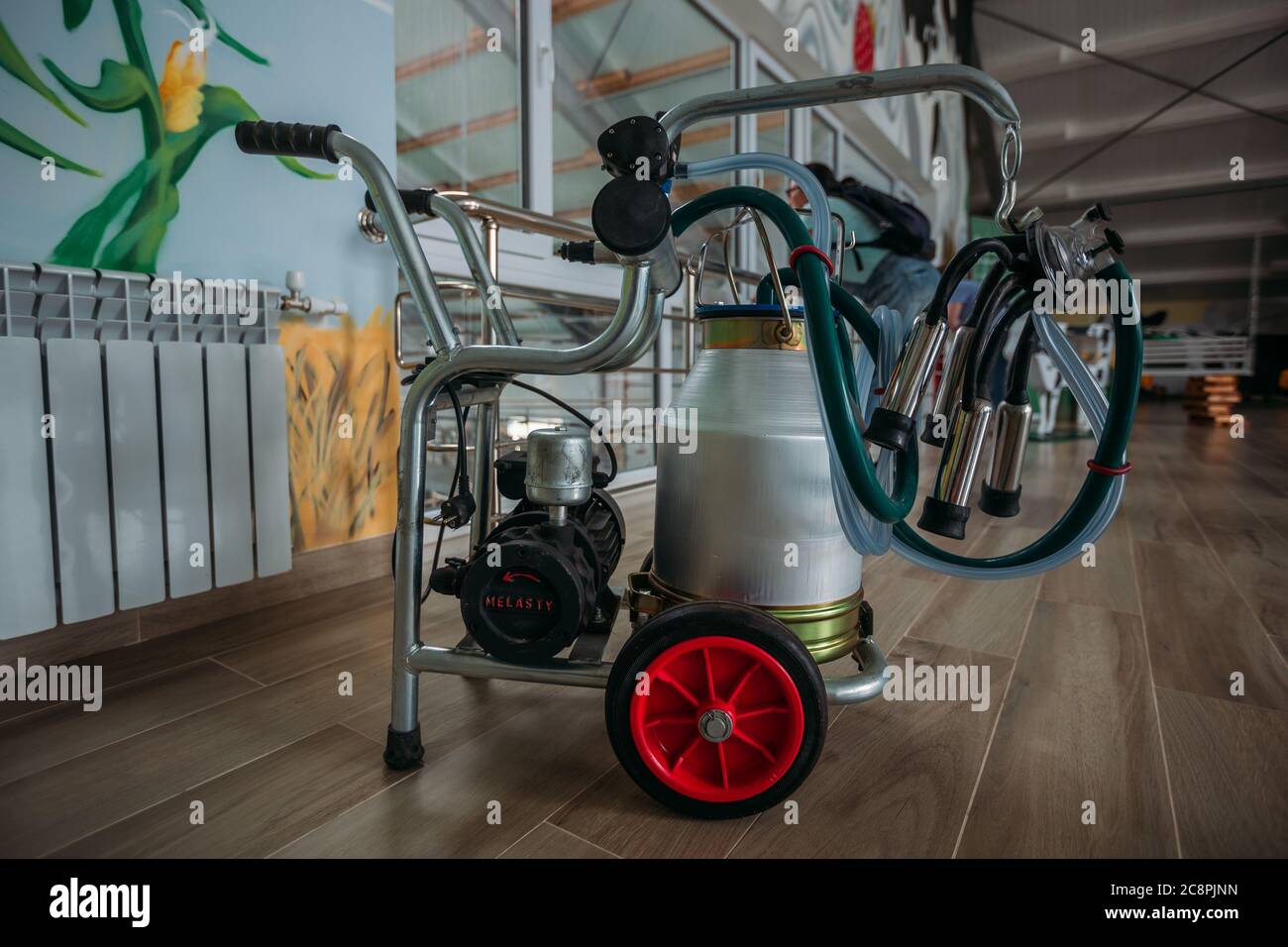 Small portable compact milking machine for milking one cow Stock Photo ...