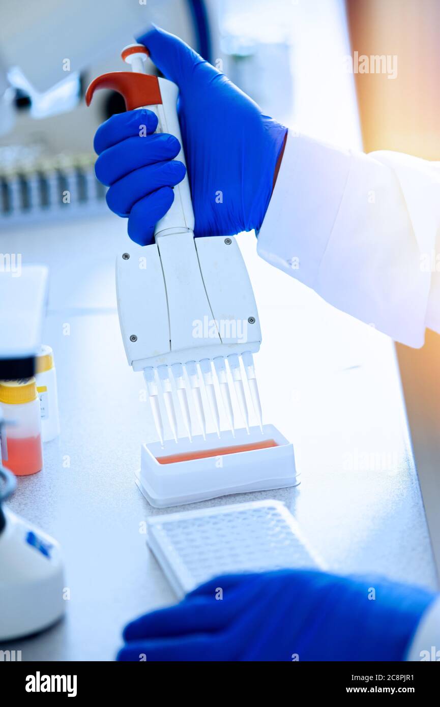 Variable volume multichannel pipette. Medical worker, scientist, laboratory assistant works in ...