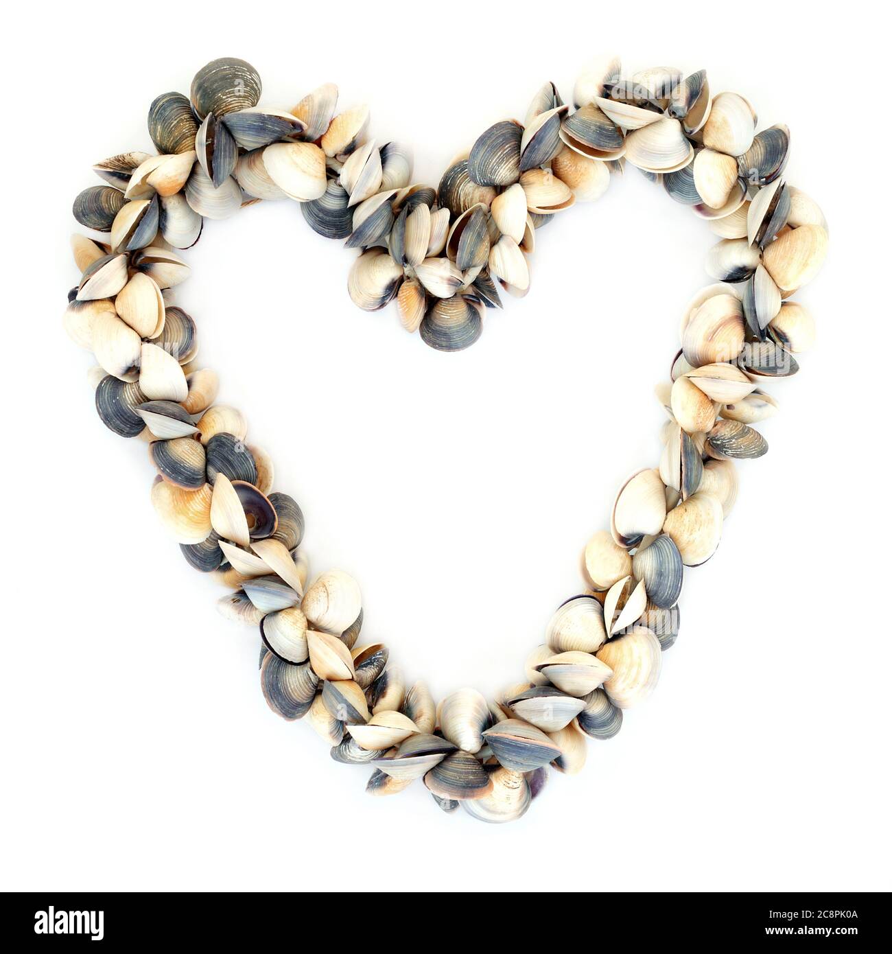 Heart shaped wreath made of clam seashells on white background with ...