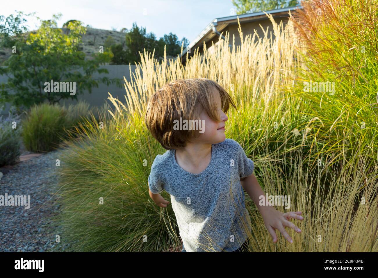 Boy in tall grass hi-res stock photography and images - Alamy