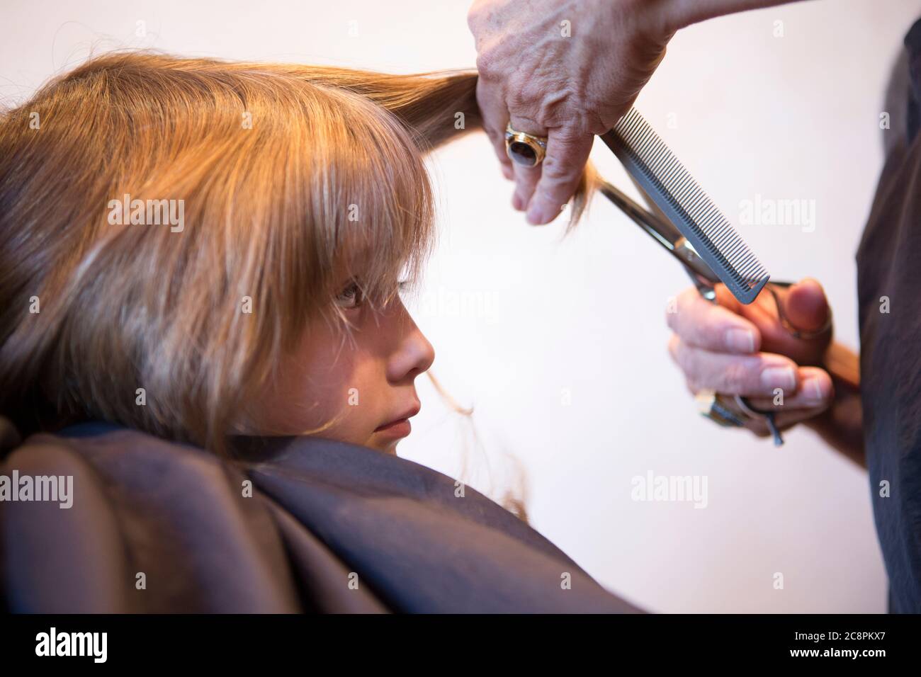 Boy getting a haircut hi-res stock photography and images - Alamy
