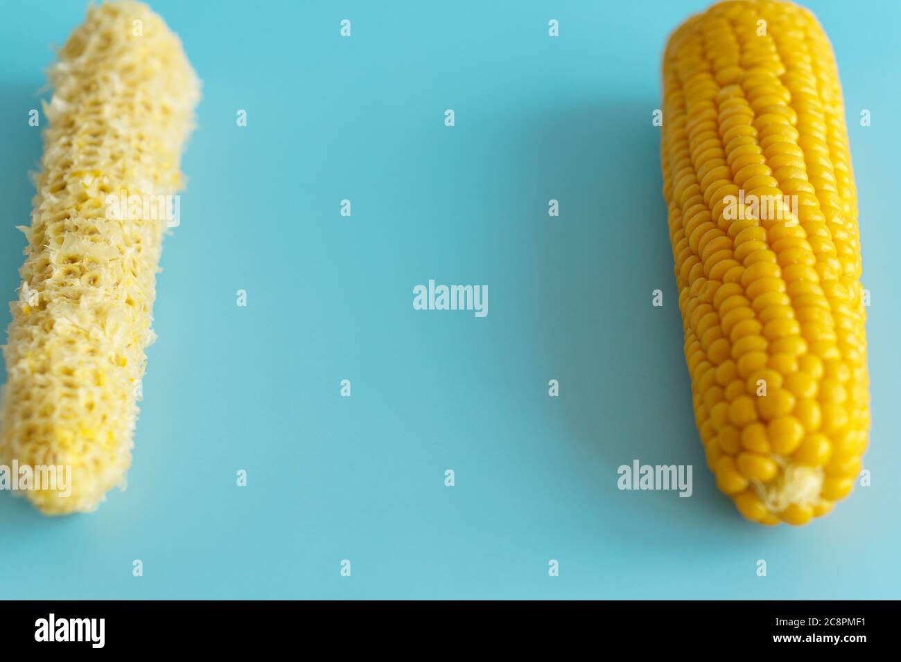 Empty Corn Cob High Resolution Stock Photography and Images - Alamy