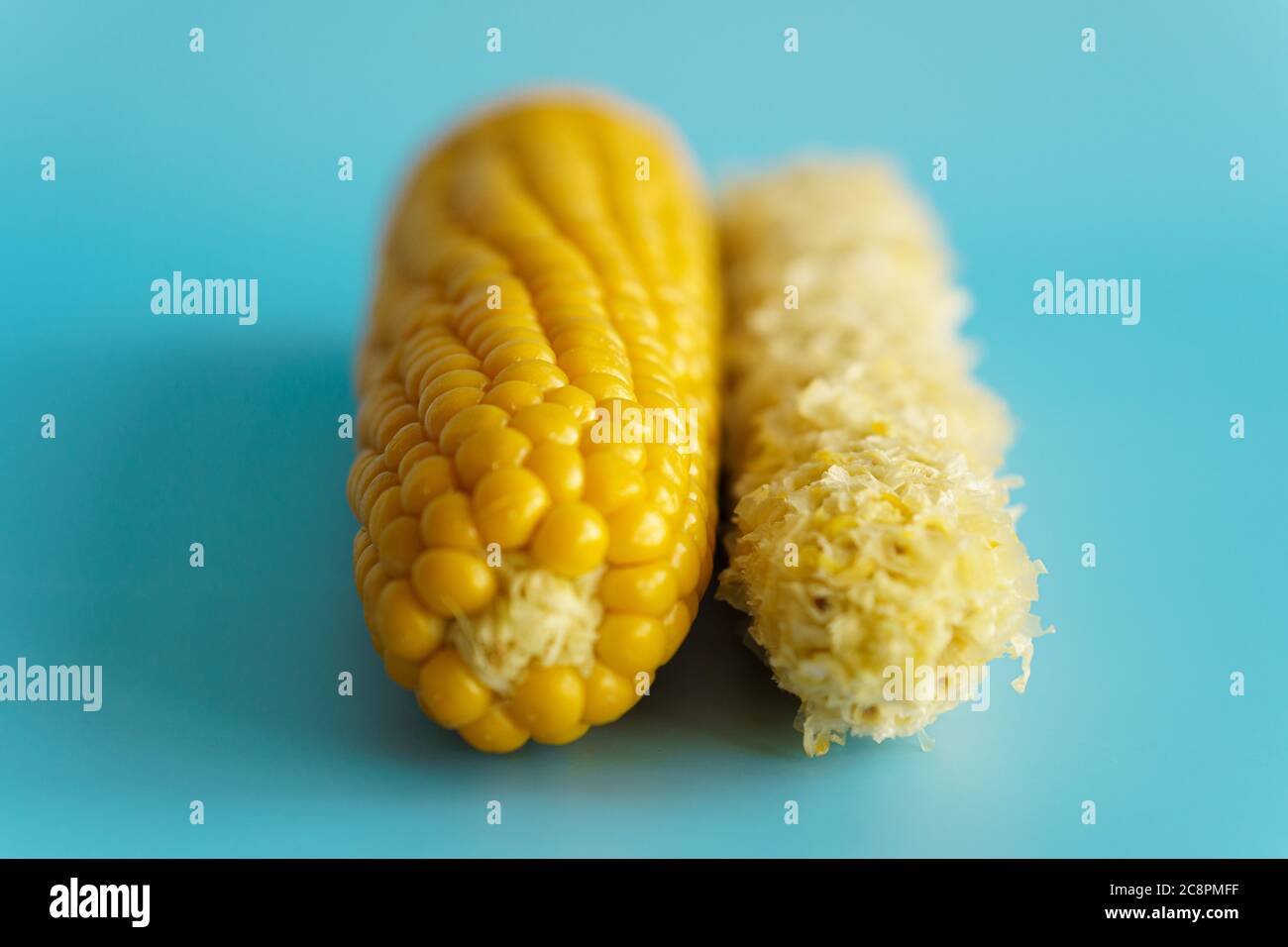 Whole and empty corn cob. Maize. Zea mays. Two boiled corncobs. One ...