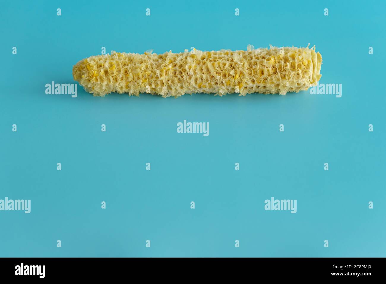 Whole and empty corn cob. Maize. Zea mays. Two boiled corncobs. One ...