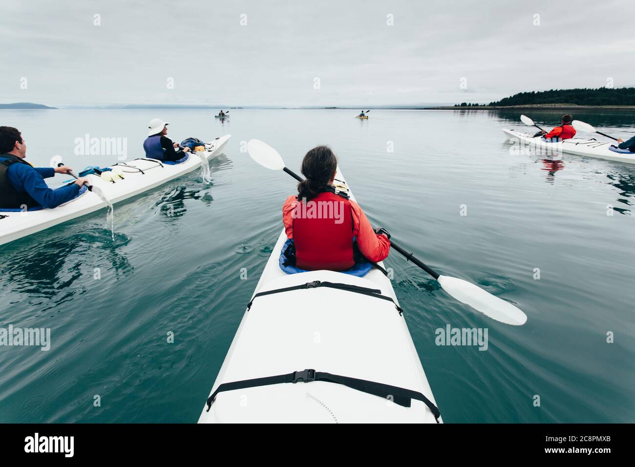 A group of friends sea kayak in pristine waters of Muir Inlet in ...