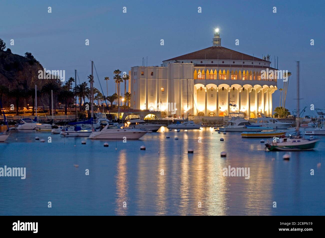 Avalon Catalina Island At Night Blog | Catalina Island Company